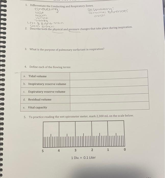 Solved 1. Differentiate the Conducting and Respiratory | Chegg.com