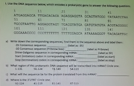 Solved Use the DNA sequence below, which encodes a | Chegg.com