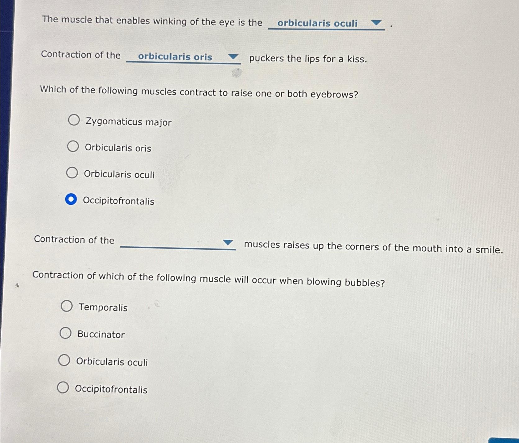 Solved The muscle that enables winking of the eye is | Chegg.com