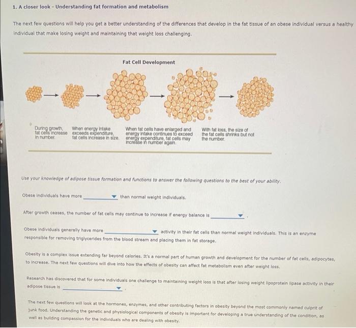 1. A closer look - Understanding fat formation and | Chegg.com