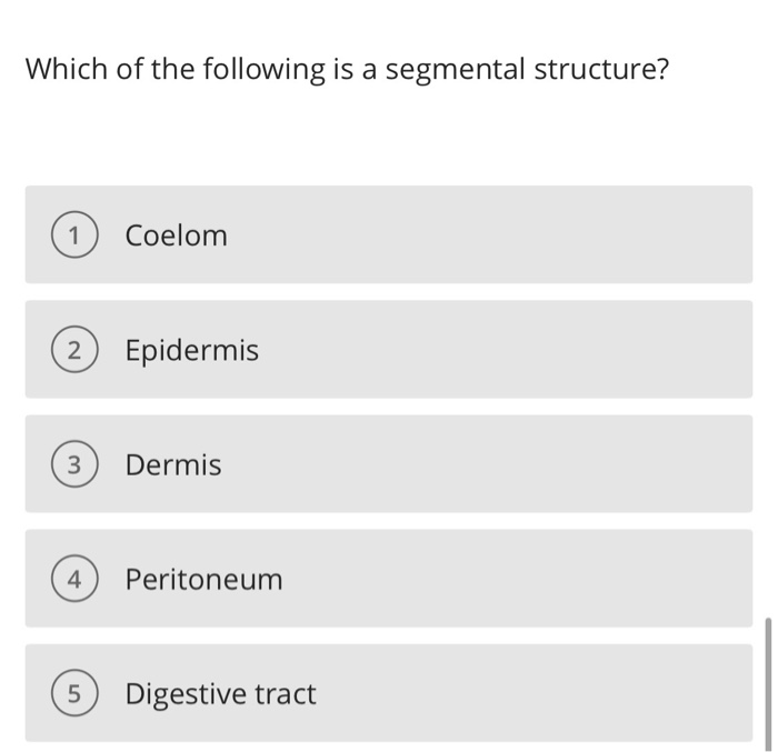 Solved Which of the following is a segmental structure? 1 | Chegg.com