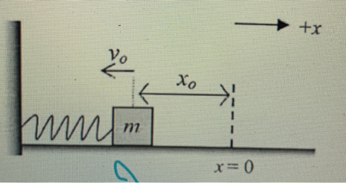 Solved a massless spring with spring constant k=80.0 N/m is | Chegg.com
