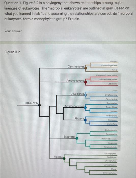 Solved Question 1. Figure 3.2 is a phylogeny that shows | Chegg.com