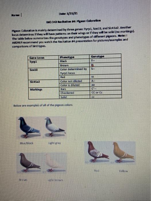 Solved Nam! Date: 1/21/2 BRO 340 Meditation 4 Pigeon | Chegg.com