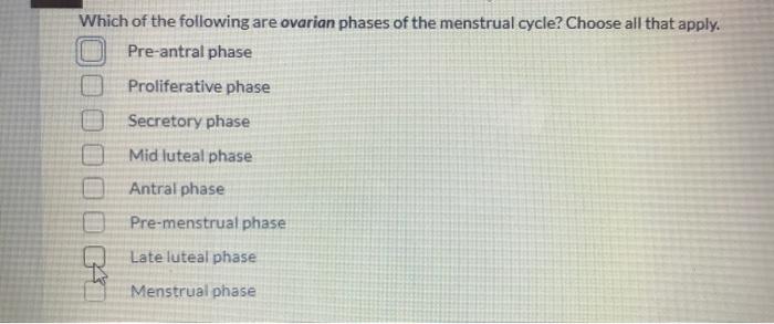 Solved Which of the following are ovarian phases of the | Chegg.com