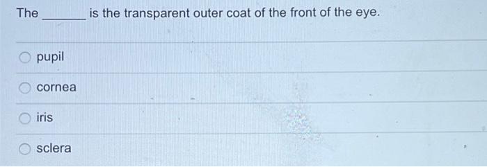 Solved Consolidation of memory refers to accessing stored | Chegg.com