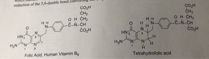 Solved 31 13. Draw a correct structure of folic acid, with | Chegg.com