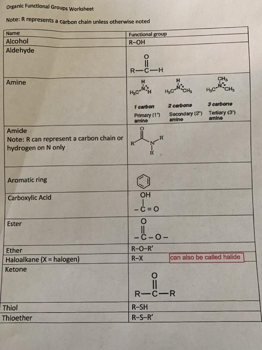 Solved Circle and name all the functional groups in the | Chegg.com
