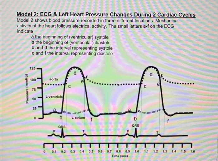 Solved Model 2: ECG & Left Heart Pressure Changes During 2 | Chegg.com