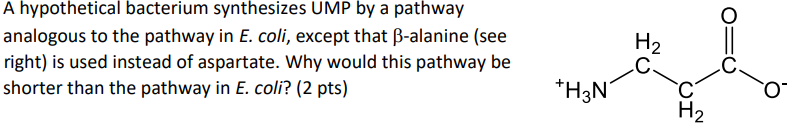 Solved A hypothetical bacterium synthesizes UMP by a pathway | Chegg.com
