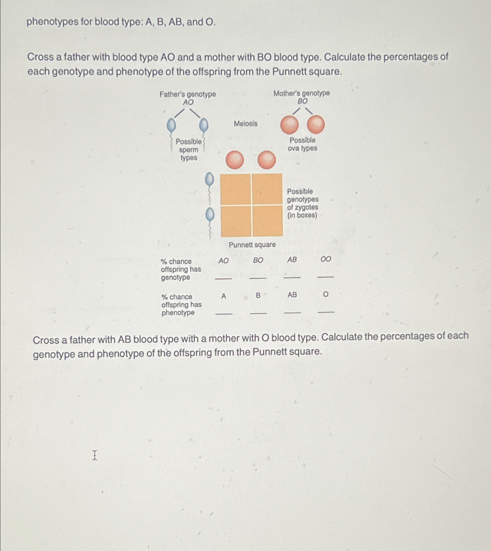 Solved Help answwr asap phenotypes for blood type: A,B,AB, | Chegg.com