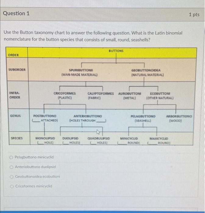 Use the Button taxonomy chart to answer the following | Chegg.com