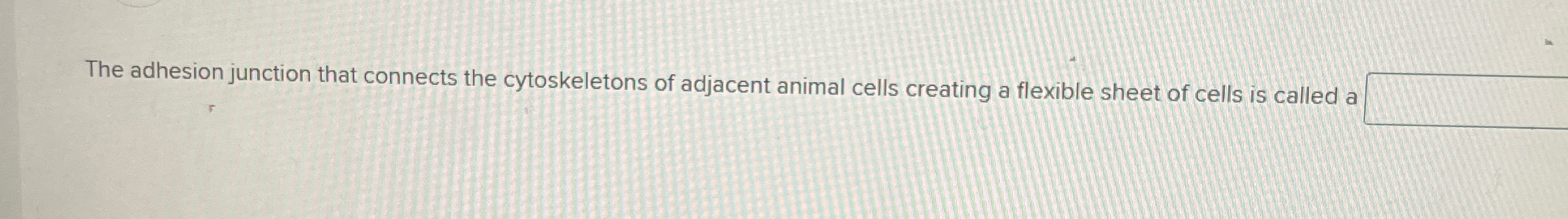 Solved The adhesion junction that connects the cytoskeletons | Chegg.com