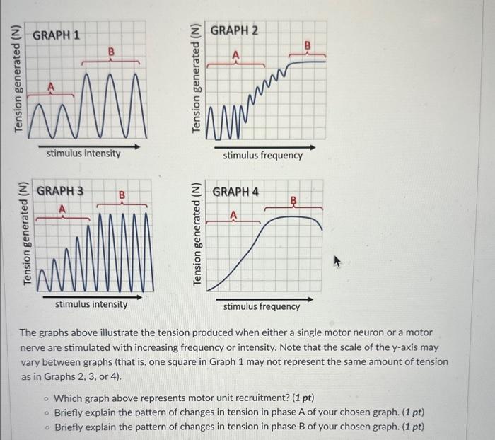 Solved The graphs above illustrate the tension produced when | Chegg.com