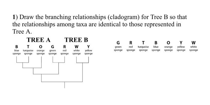 Solved 1) Draw the branching relationships (cladogram) for | Chegg.com