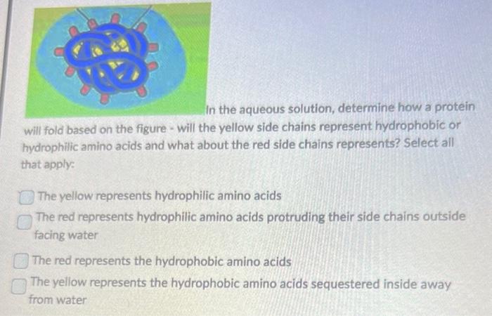 Solved in the aqueous solution, determine how a protein will | Chegg.com