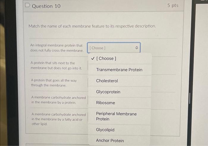 Solved Match the name of each membrane feature to its | Chegg.com