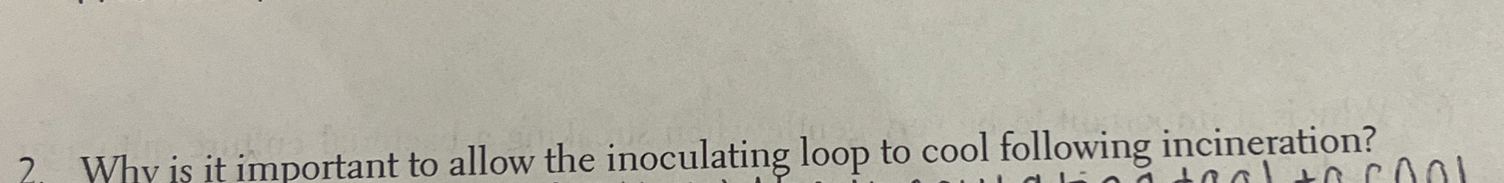Solved Whv is it important to allow the inoculating loop to | Chegg.com
