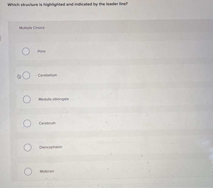 Solved Which structure is highlighted and indicated by the | Chegg.com