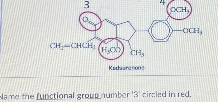 Solved Jame the functional group number ' 3 ' circled in | Chegg.com