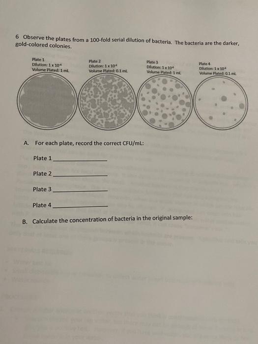 Solved Worksheet on Viable Bacterial Plate Counts 1 Which of | Chegg.com