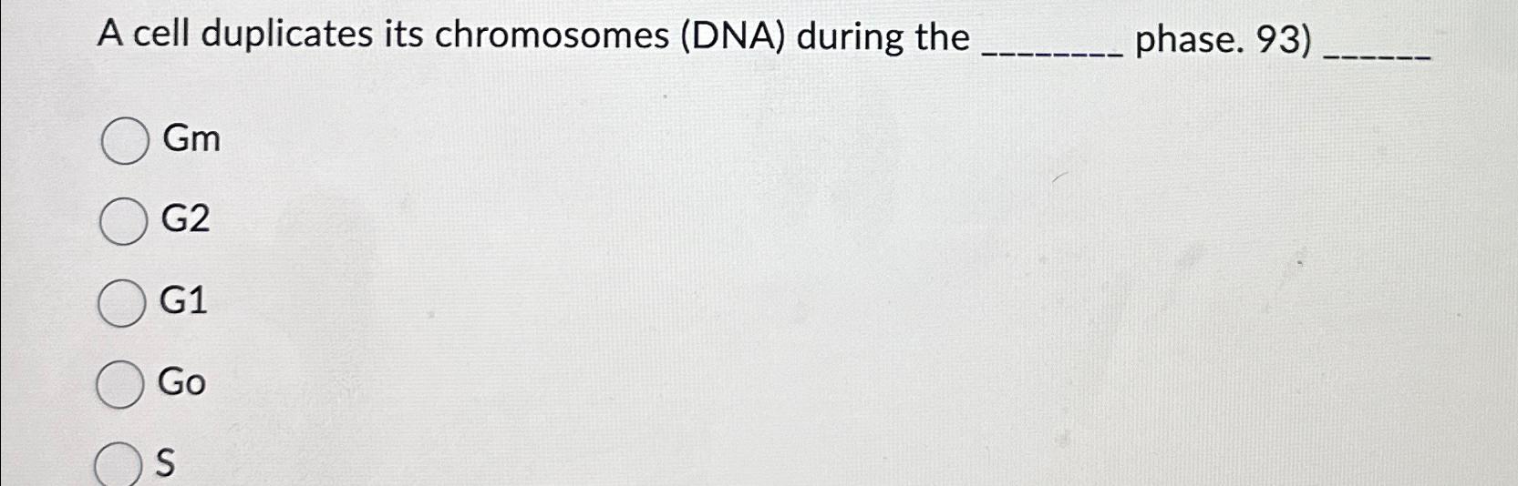 Solved A cell duplicates its chromosomes (DNA) ﻿during the | Chegg.com