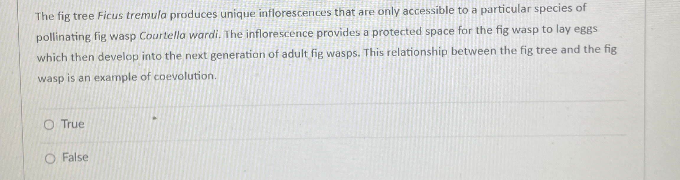 Solved The fig tree Ficus tremula produces unique | Chegg.com