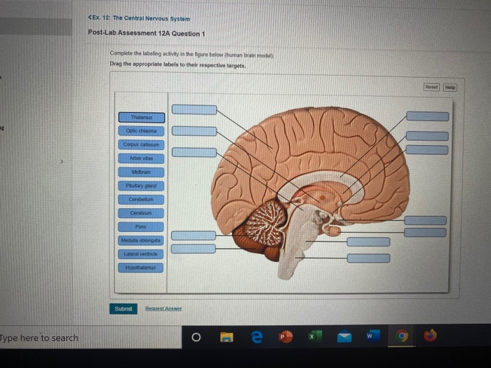 Solved Question | Chegg.com