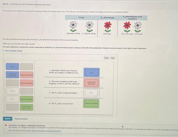 Solved Vew Avelatie Hint(o) X Incorrect In A Aain; 2 | Chegg.com
