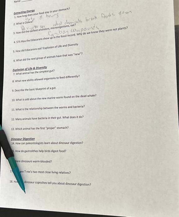 Solved Name: 3. How did the ealiest ancestors, | Chegg.com