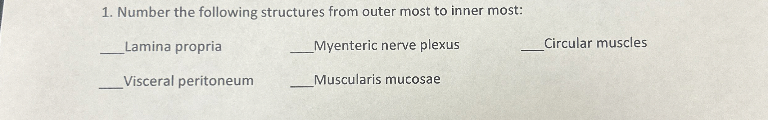 Solved Number the following structures from outer most to | Chegg.com