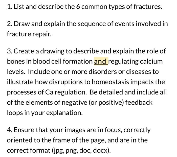 Solved 1. List and describe the 6 common types of fractures. | Chegg.com