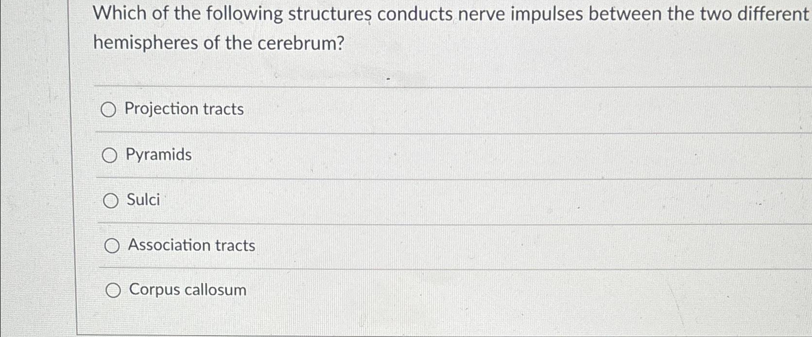 Solved Which of the following structures conducts nerve | Chegg.com