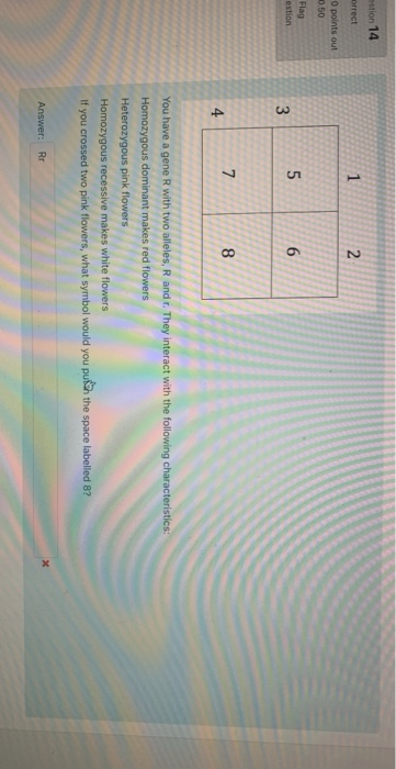 Solved estion 14 orrect 1 2 O points out 050 Flag estion 5 6 | Chegg.com Solved estion 14 orrect 1 2 O points out 050 Flag estion 5 6 | Chegg.com
