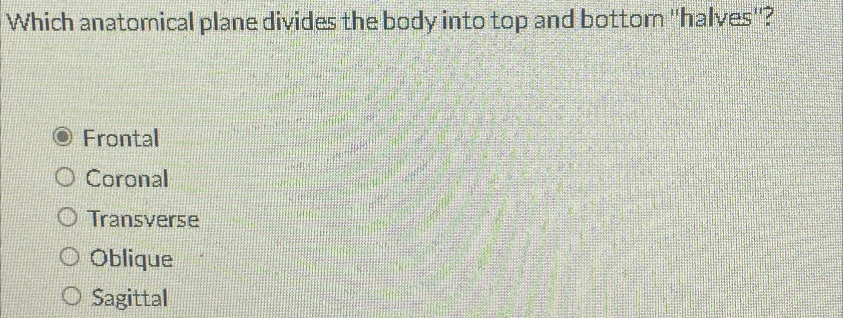 Solved Which anatomical plane divides the body into top and | Chegg.com