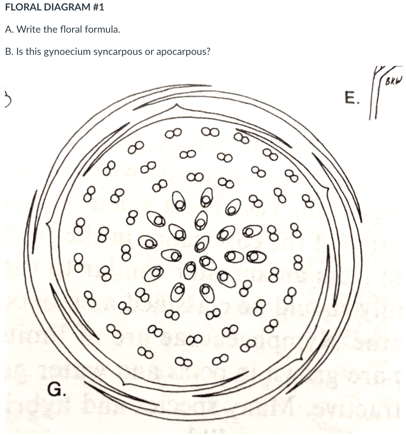 Solved For each diagram, write the correct floral formula | Chegg.com