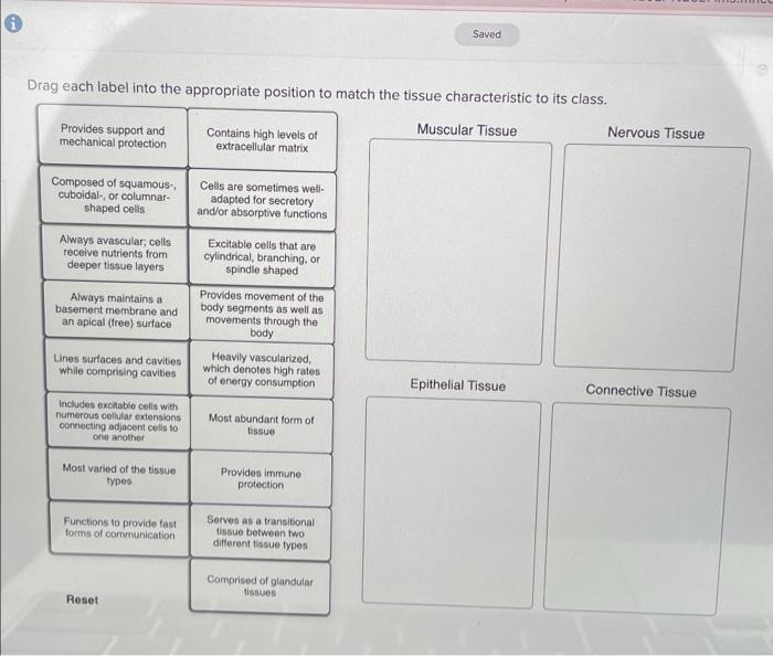 Solved Seved Help Save & Exit Submit Drag each label into | Chegg.com