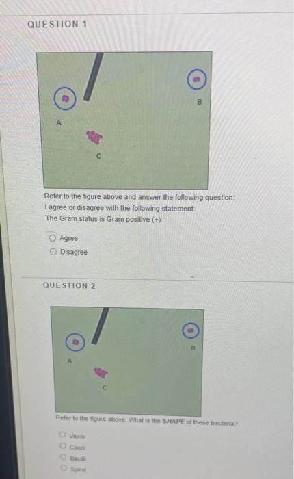 Solved QUESTION 1 Refer to the figure above and answer the | Chegg.com