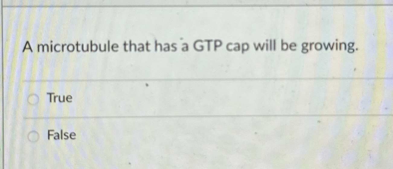 Solved A microtubule that has a GTP cap will be | Chegg.com