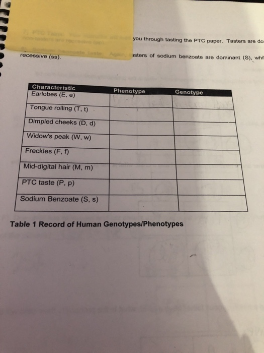 Solved you through tasting the PTC paper. Tasters are do | Chegg.com