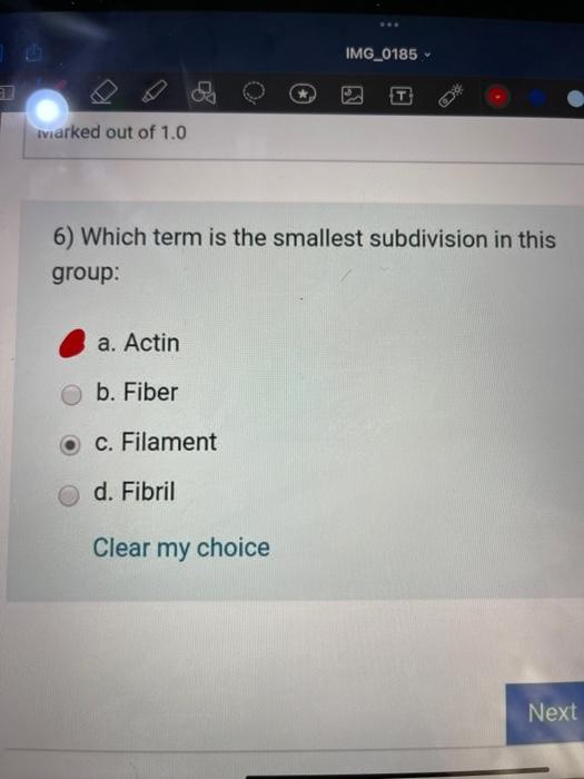 IMG_0185 - bones) T 13) The territorial matrix: a. | Chegg.com