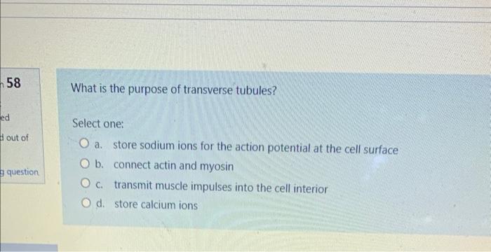 Solved What is the purpose of transverse tubules? Select | Chegg.com