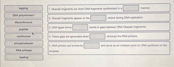Solved 1. Okazaki fragments are short DNA fragments | Chegg.com