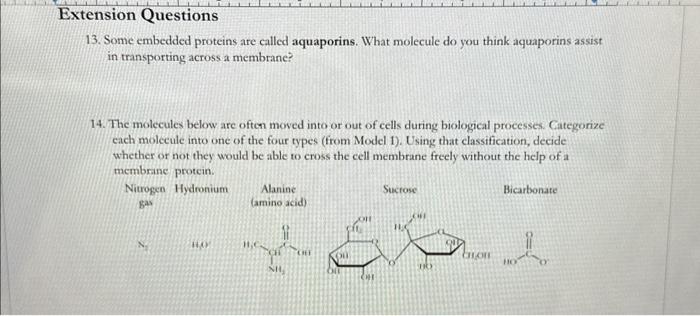 Model 2 - Selectively Permeable Cell Membrane | Chegg.com