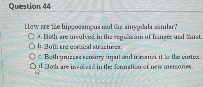 Solved How are the hippocampus and the amygdala similar? a. | Chegg.com
