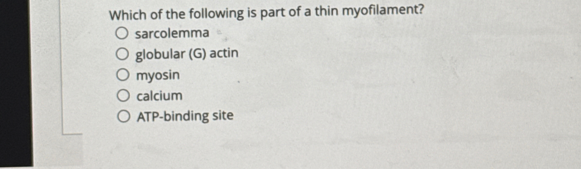 Solved Which of the following is part of a thin | Chegg.com