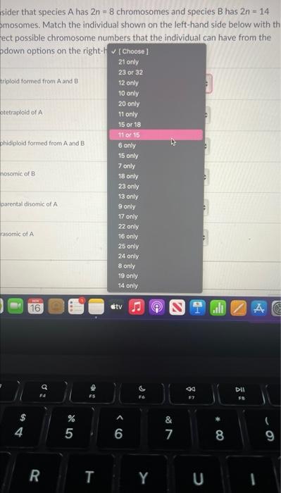 Solved Consider that species A has 2n=8 chromosomes and | Chegg.com