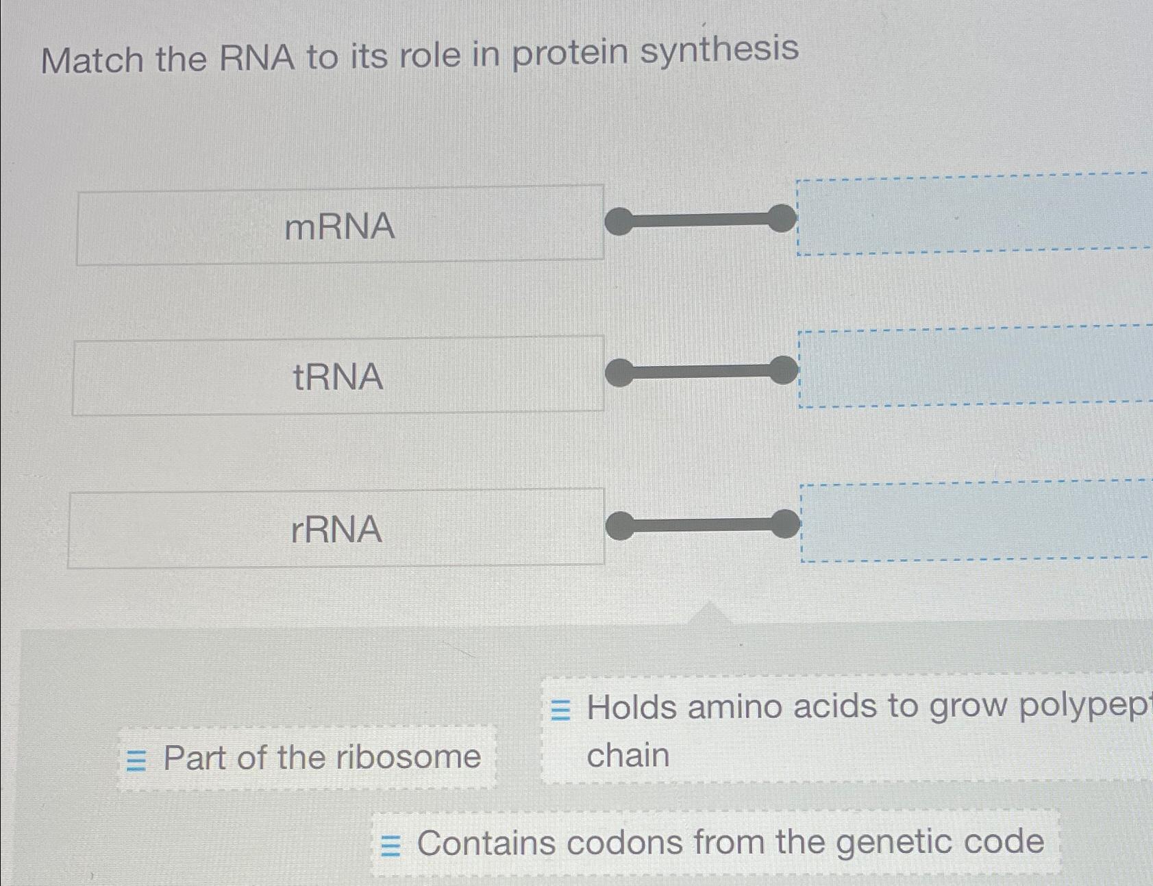 Solved Match the RNA to its role in protein synthesisइPart | Chegg.com