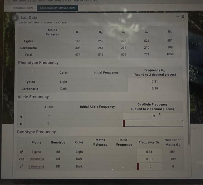 Lab Data Phenotype Frequency Allele Frequency | Chegg.com