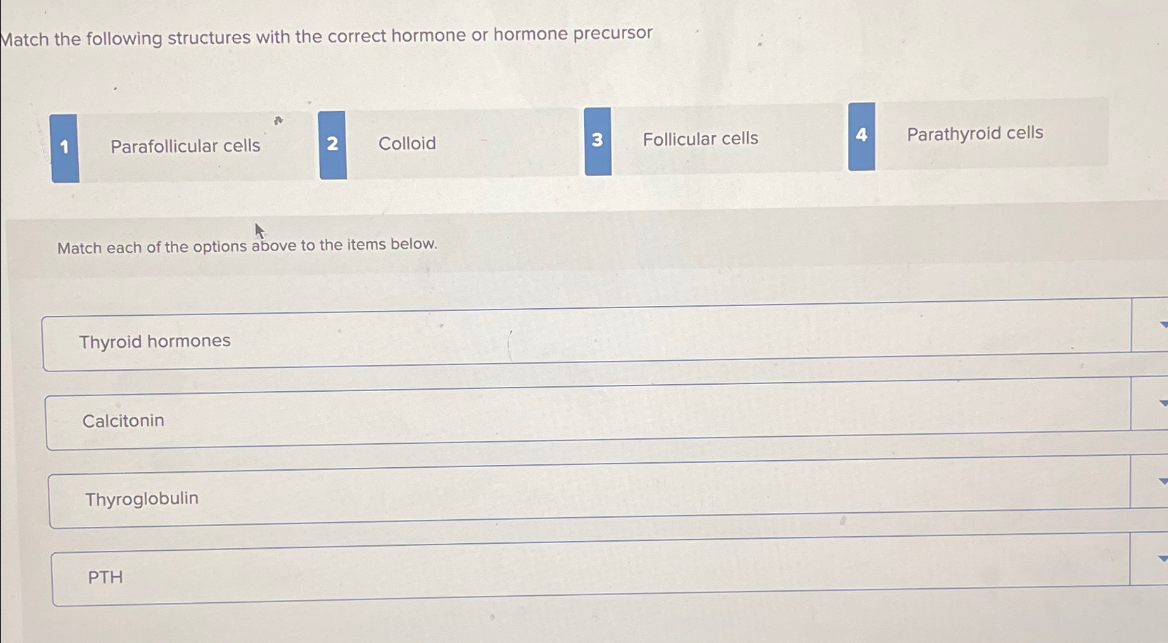 Solved Match the following structures with the correct | Chegg.com
